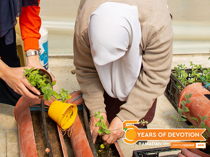 Rooftop Vegetable Gardens in Palestine | Income Generation | LaunchGood ...